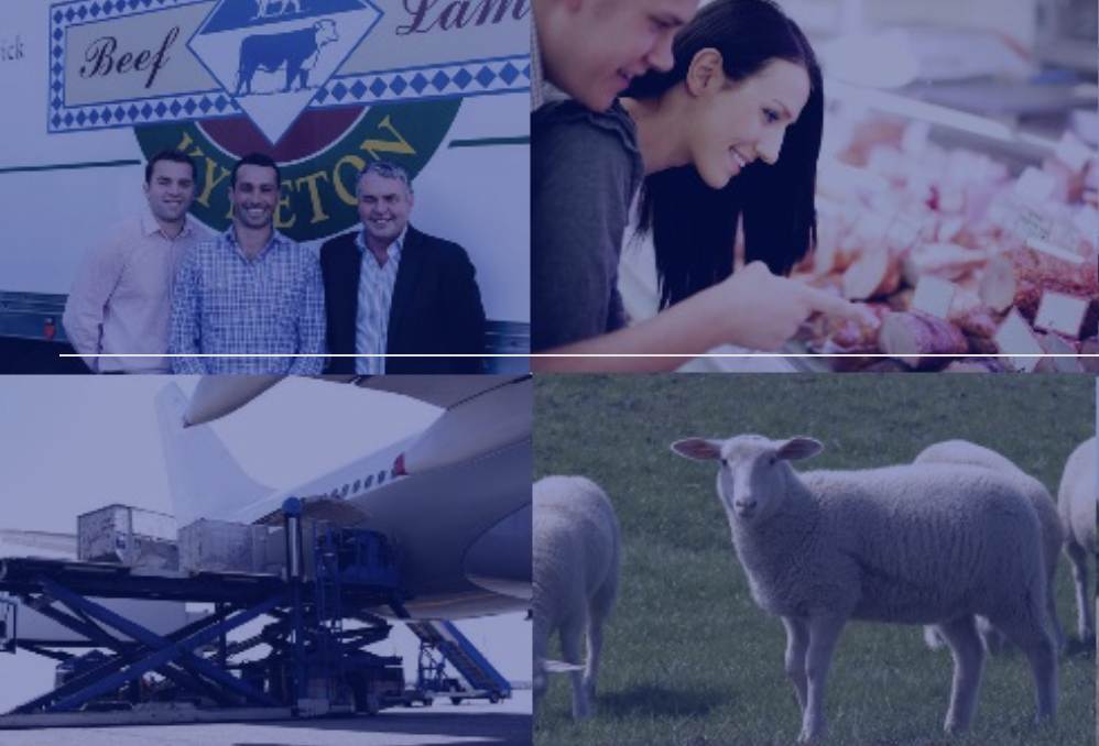 ANZIC: Manufacturing (C)